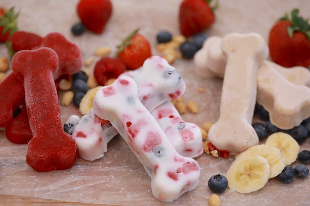 No Bake Dog Treats That Anyone Can Make