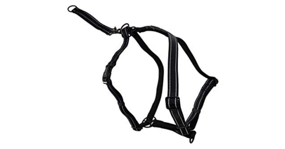 The Best Collars For Dogs That Pull: A Complete Guide