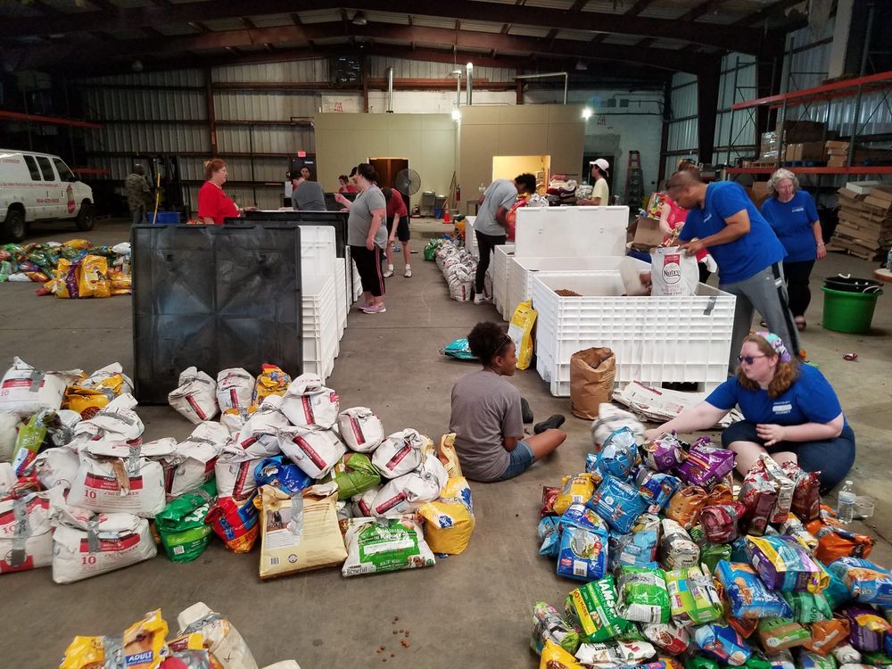 Exploring How Pet Food Banks Work with Fi Smart Dog Collar