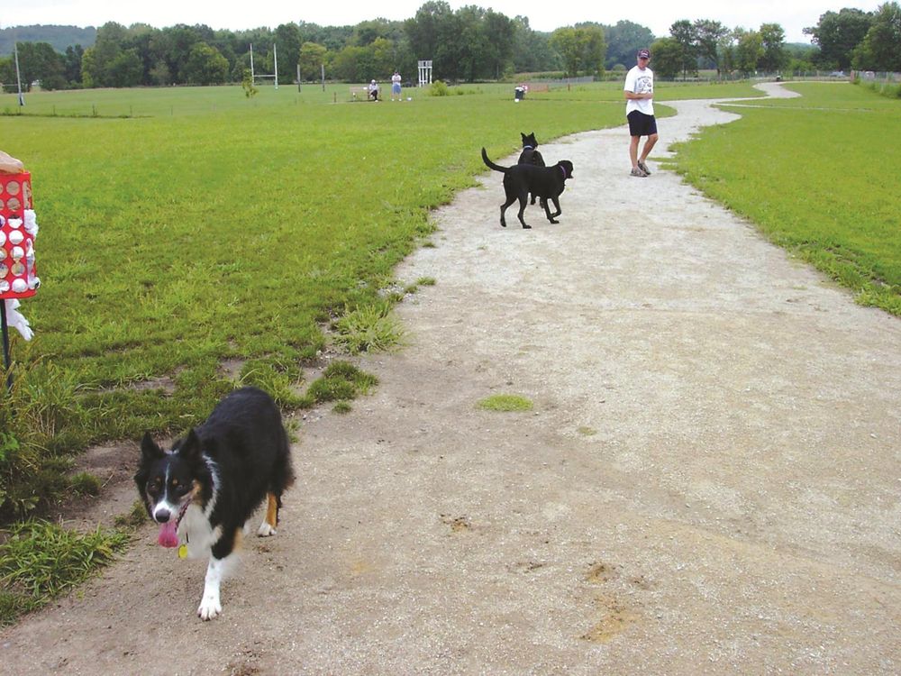 Iowa's Off-Leash Adventures: The Best Dog Parks in the Hawkeye State