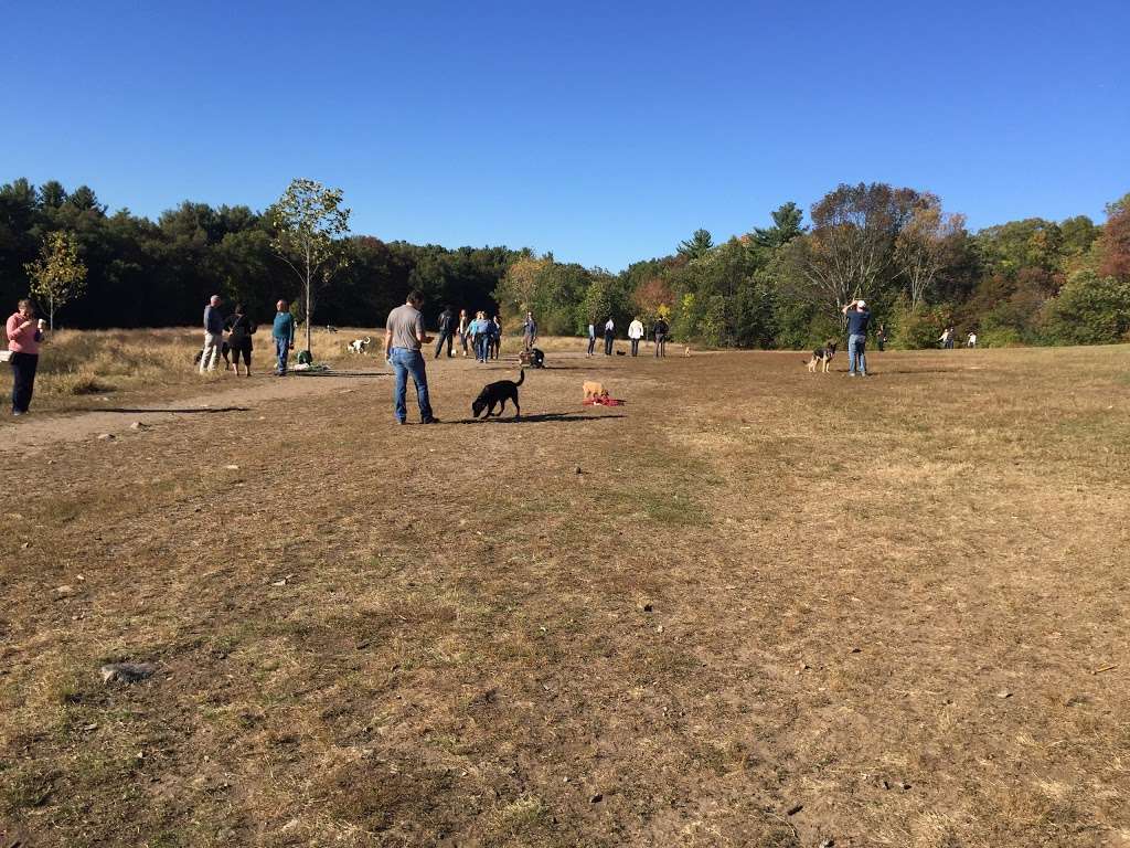 Top Dog Parks in Massachusetts: Fun and Safe Spaces for Your Pup