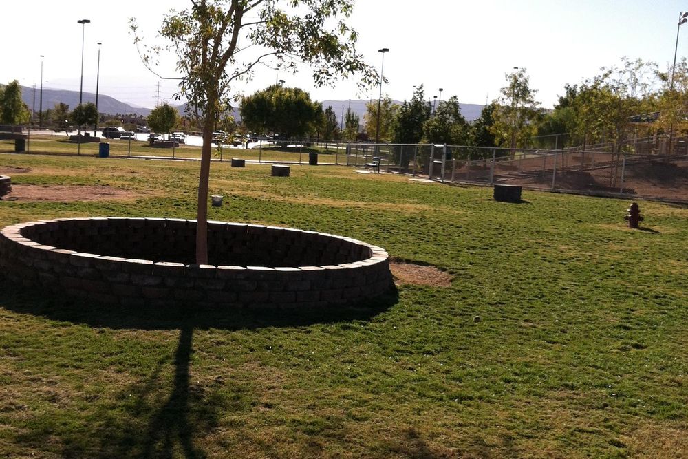 Nevada's Bark Parks: The Best Dog Parks from Vegas to Reno