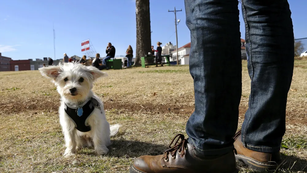 Oklahoma's Sooner State Dog Parks: The Best Places to Play
