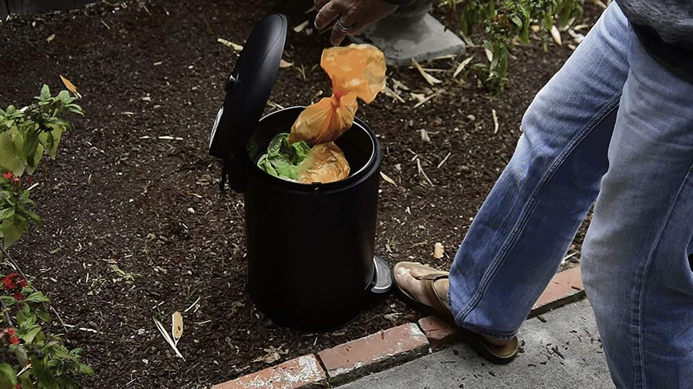 Outdoor Dog Poop Trash Can: Trash Talk For a Clean Walk!