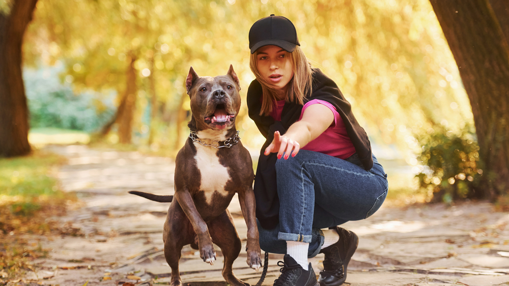 Pit Bulls as Nanny Dogs: A History of Misunderstanding