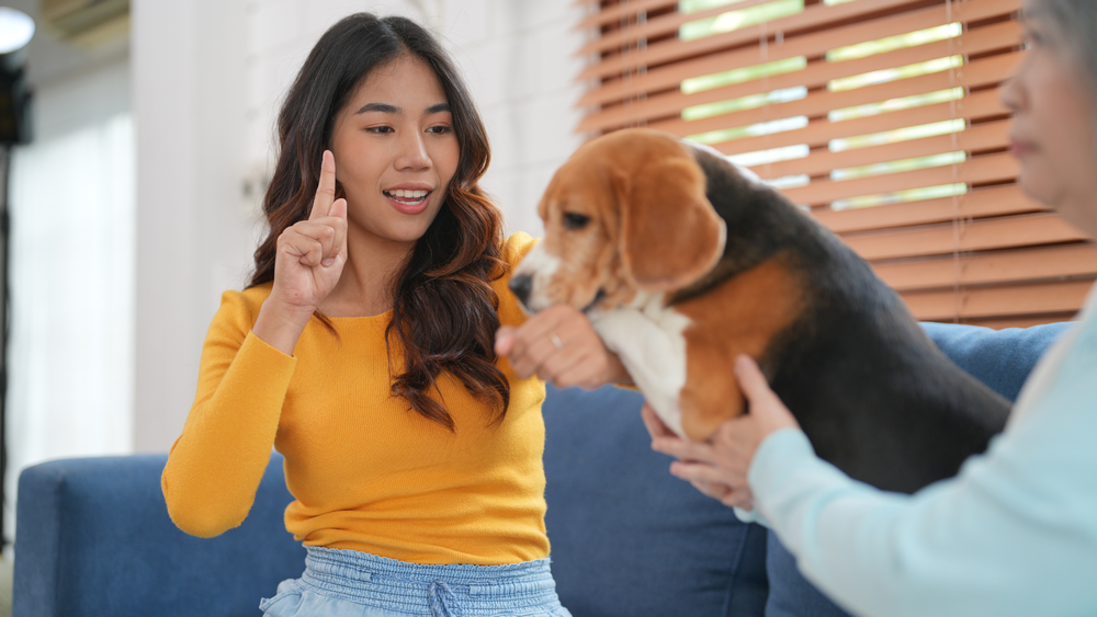 Sign Language for Deaf Dogs: Enhance communication!