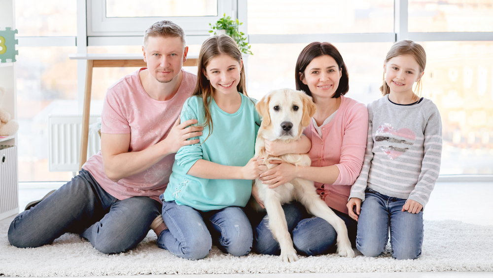 The Benefits of Having a Family Dog: Explore Now!