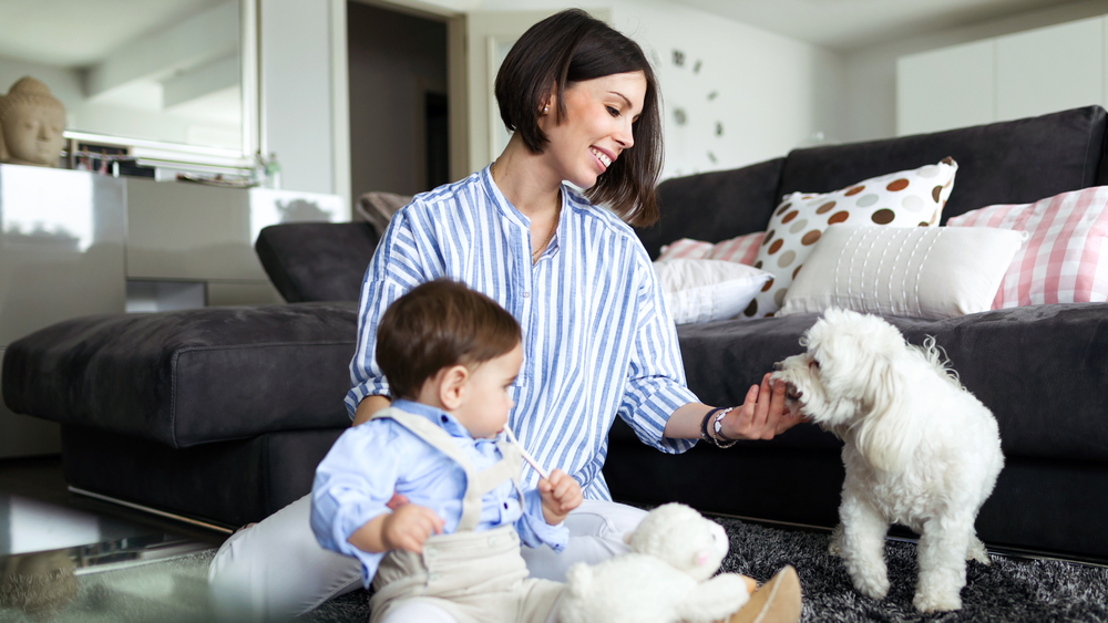 The Dog Mom's Guide to Juggling Parenting and Pet Ownership!