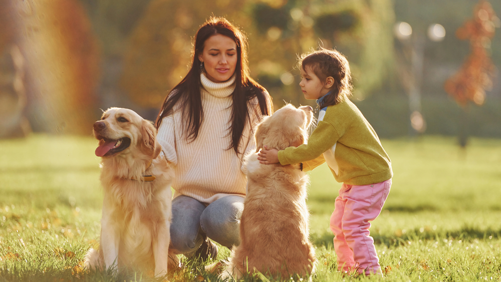 How Dogs Benefit Moms and Kids Alike? Explore Support!