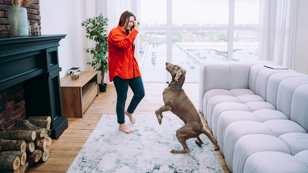 How to Dog-Proof Your Home: A Complete Safety Guide