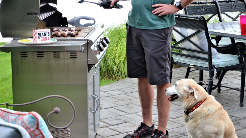 How to Host a Dog-Friendly Barbecue or Outdoor Party!