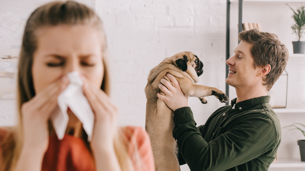 Most Common Dog Allergies: Get Insights Into Managing It!