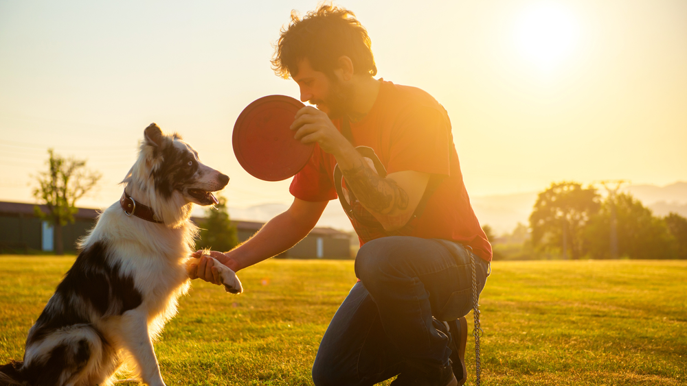 Safe and Fun Outdoor Activities for Dogs in Suburban Areas!