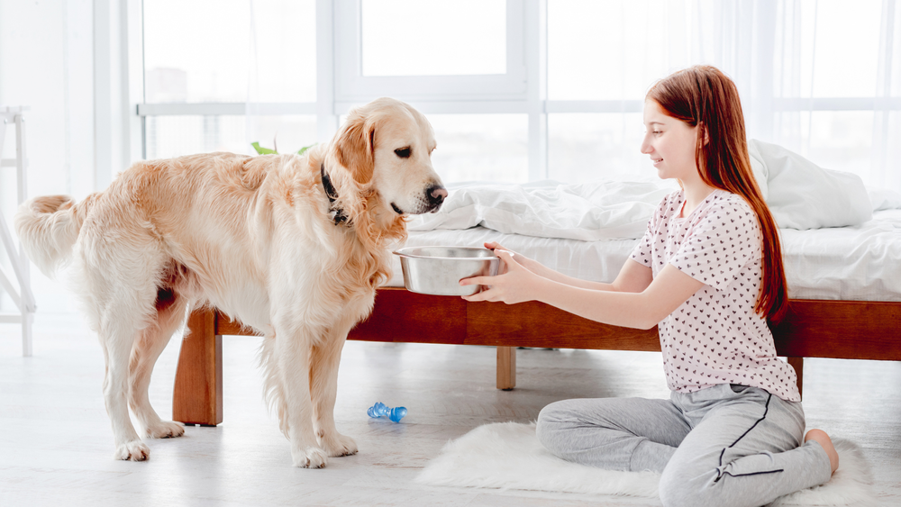 Teaching Responsibility Through Dog Care Tasks: A Guide