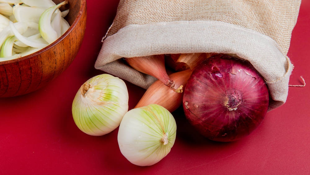 Onions and Dogs: Risks, Symptoms & Safe Alternatives