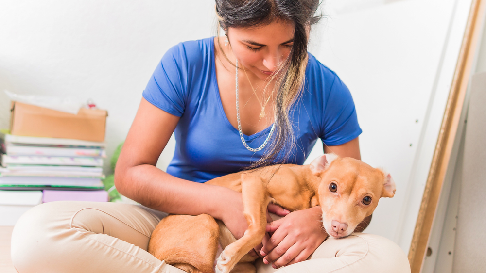 Tips for Making a Rescue Dog Feel at Home!