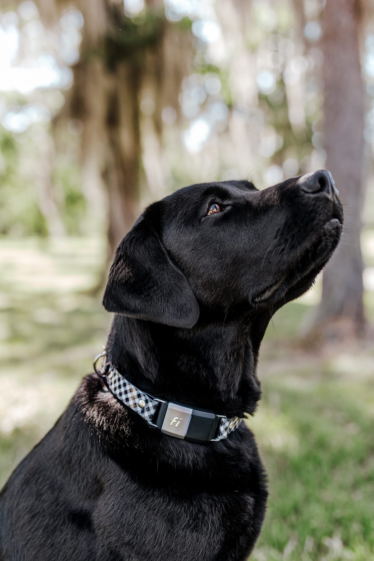 New Maker Alert: Zaley Designs