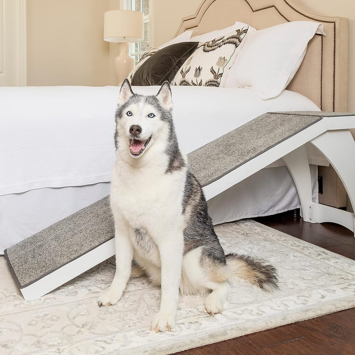 Dog Bed Ramp: A Safe and Comfortable Solution