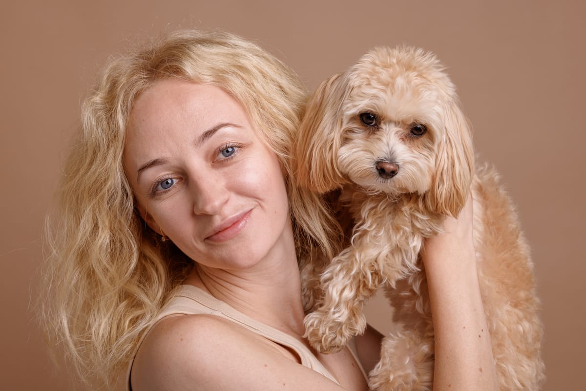 Are Cockapoos Smart? In-depth Analysis of Their Smartness