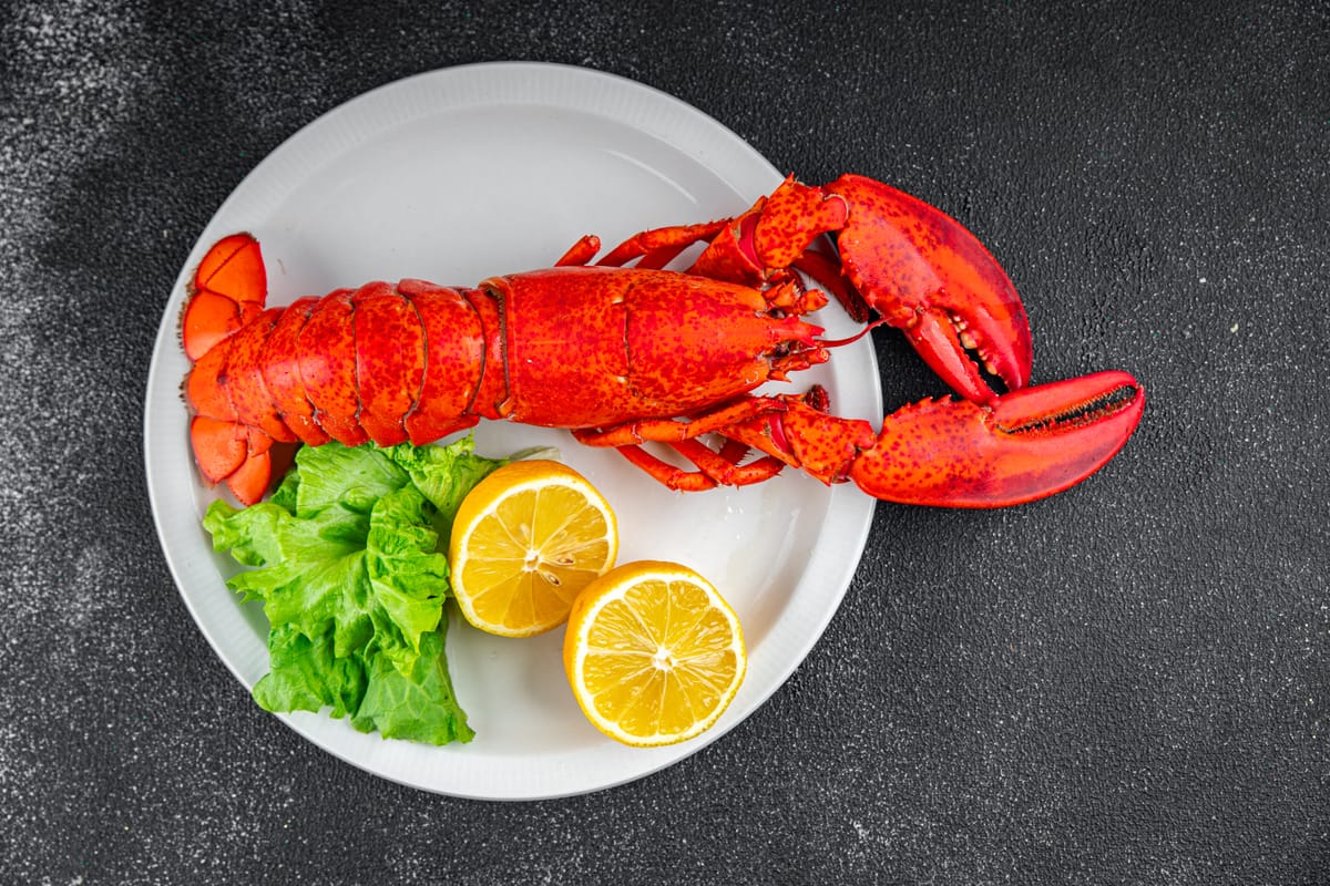 Can Dogs Eat Lobster? A Guide to Safe Feeding Practices