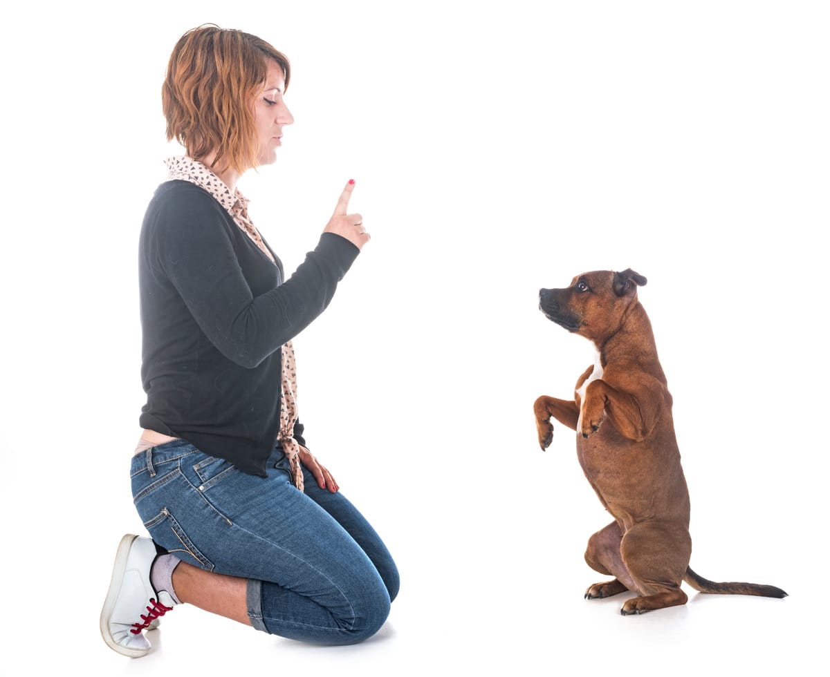 Sign Language for Deaf Dogs: Enhance communication!