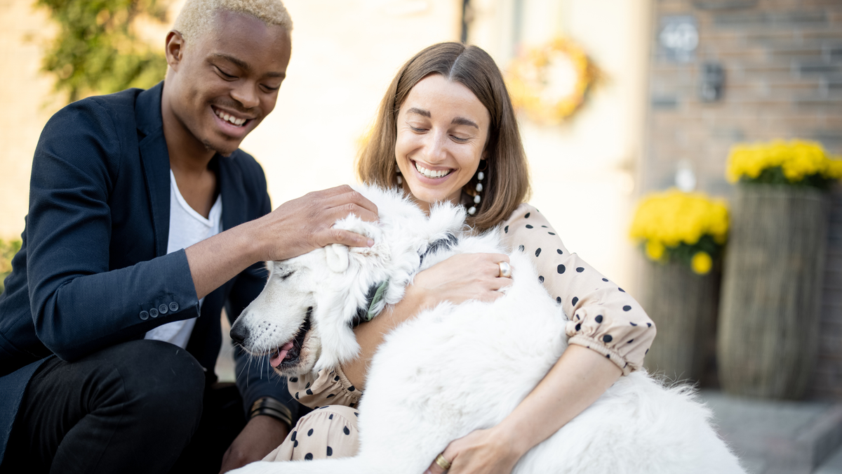 Pet Safety: How to Protect Dog from Wildlife and Hazards!