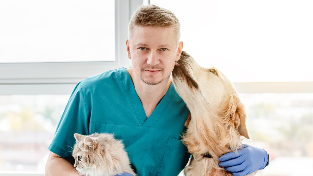 Navigating Veterinary Care in the City: Tips & Recs