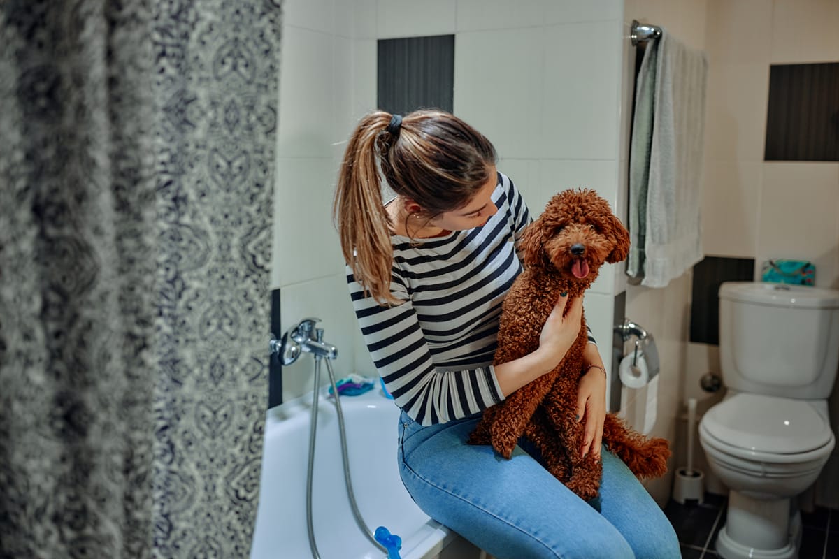 How to Toilet Train a Puppy in 7 Days: A Step-by-Step Guide