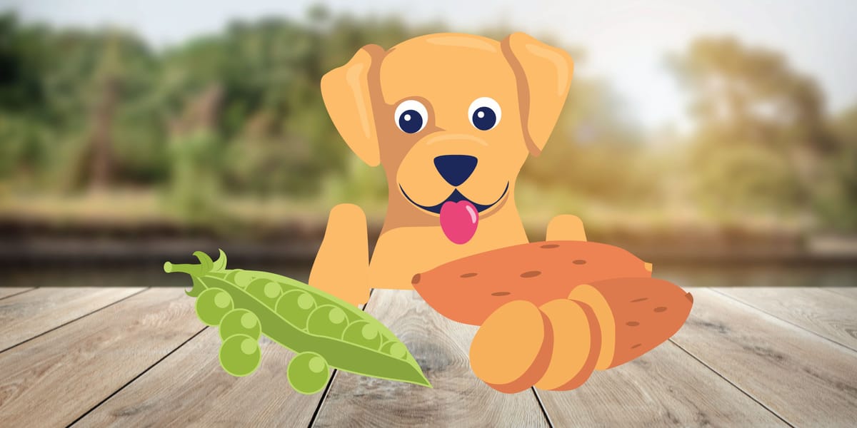 Can Dogs Eat Sweet Potatoes? A Complete Guide