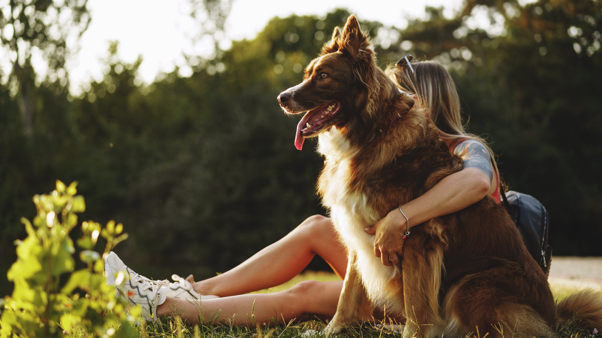 Eco-Friendly Tips for Dog Owners: Sustainable Pet Care