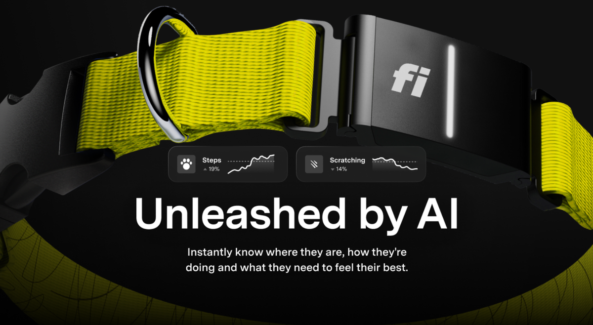 The First AI Smart Collar for Your Dog: Introducing Fi Series 3+