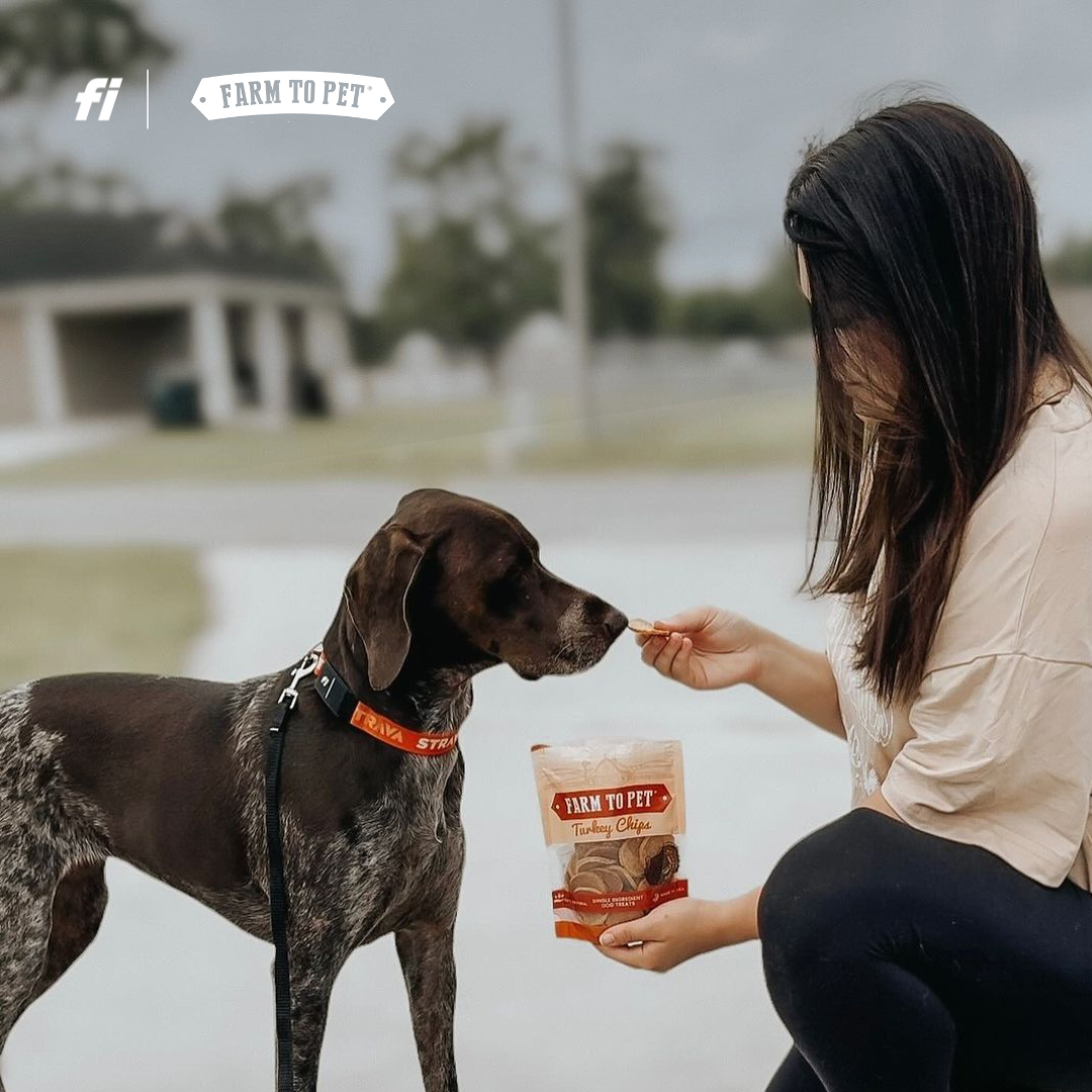 Unveiling How Dogs Drink Water | Try Fi