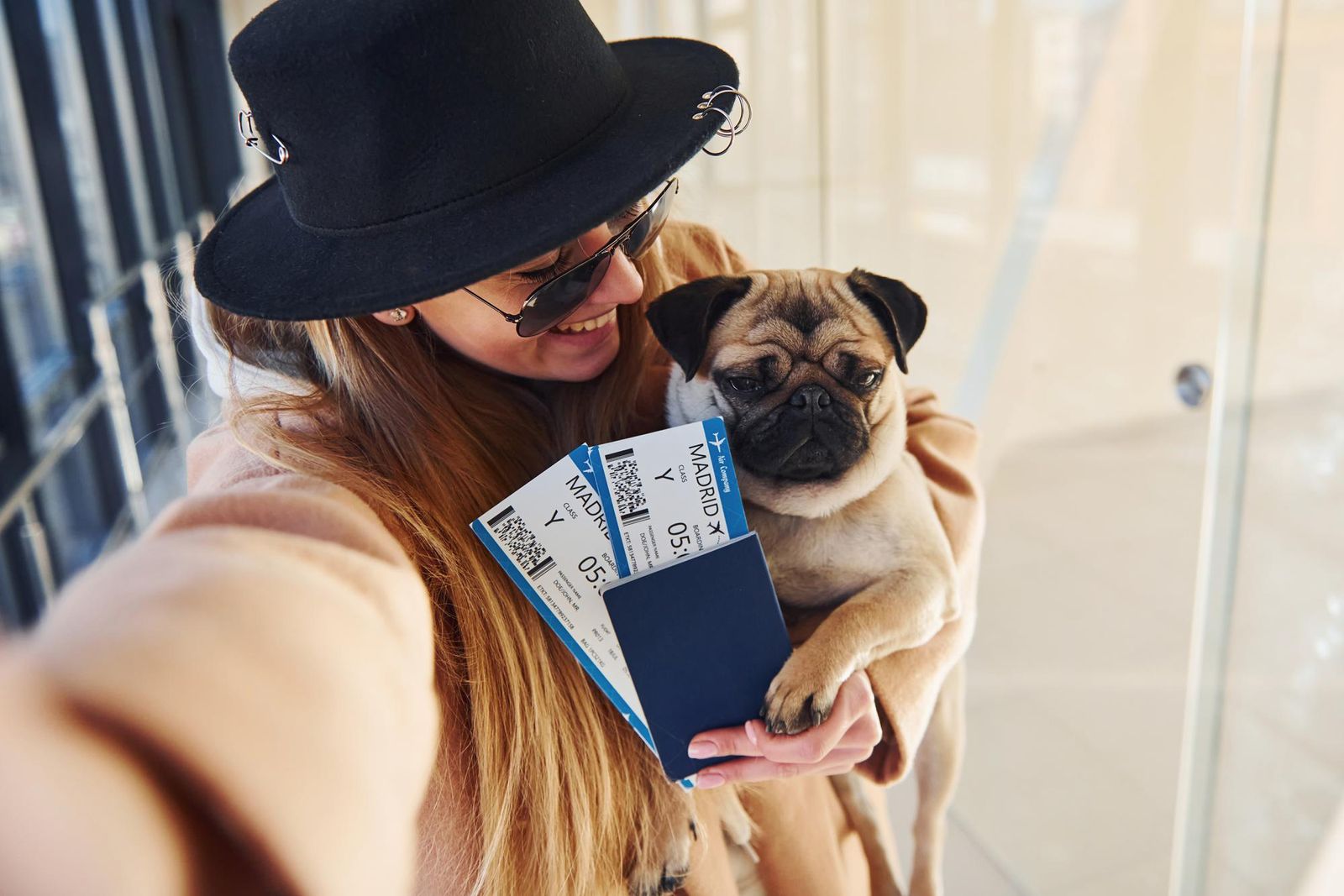Barks Beyond Borders: The Essential Guide to Dog Passports