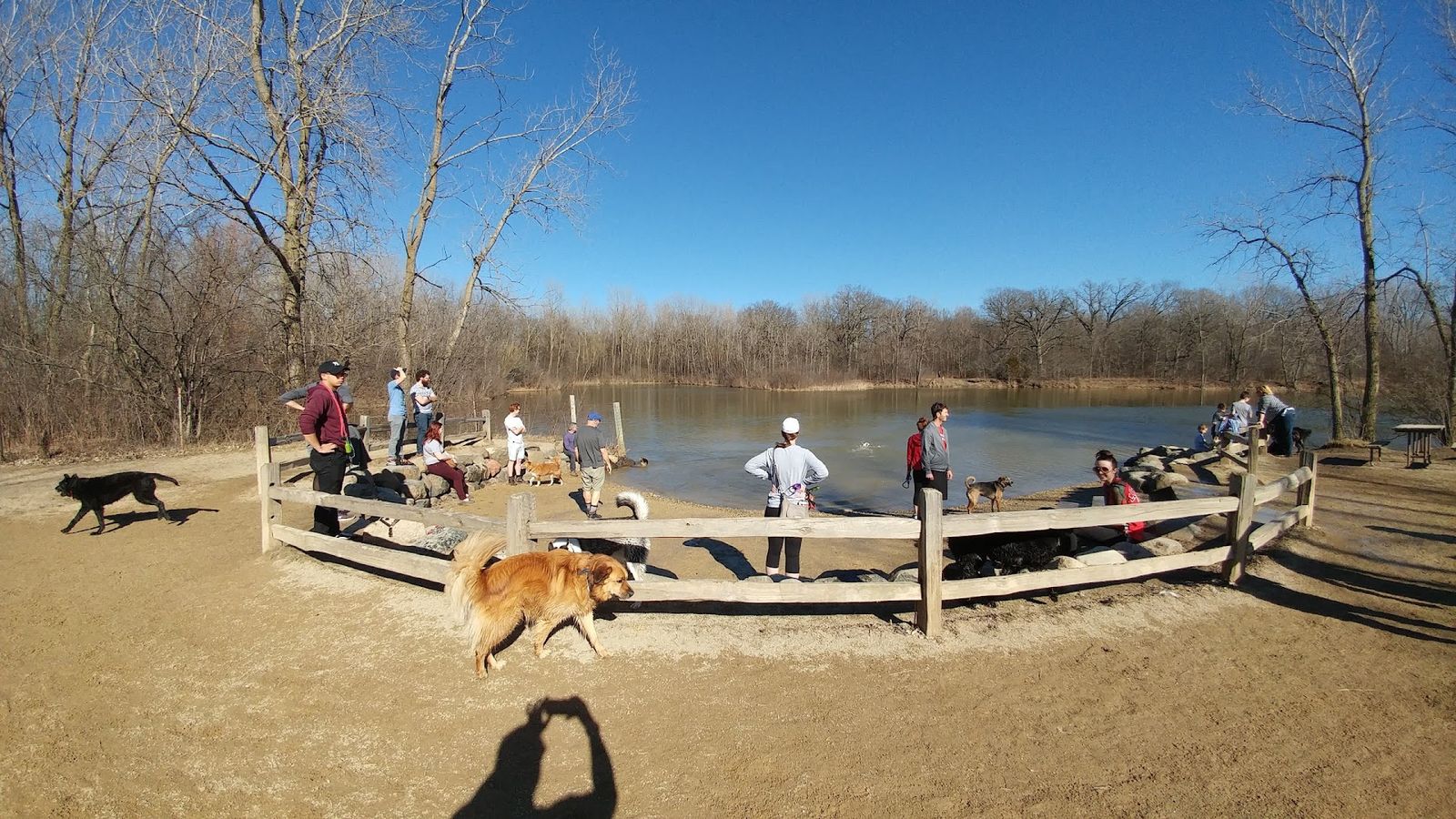 Illinois' Best Dog Parks: Where Chicagoland Pups Love to Play