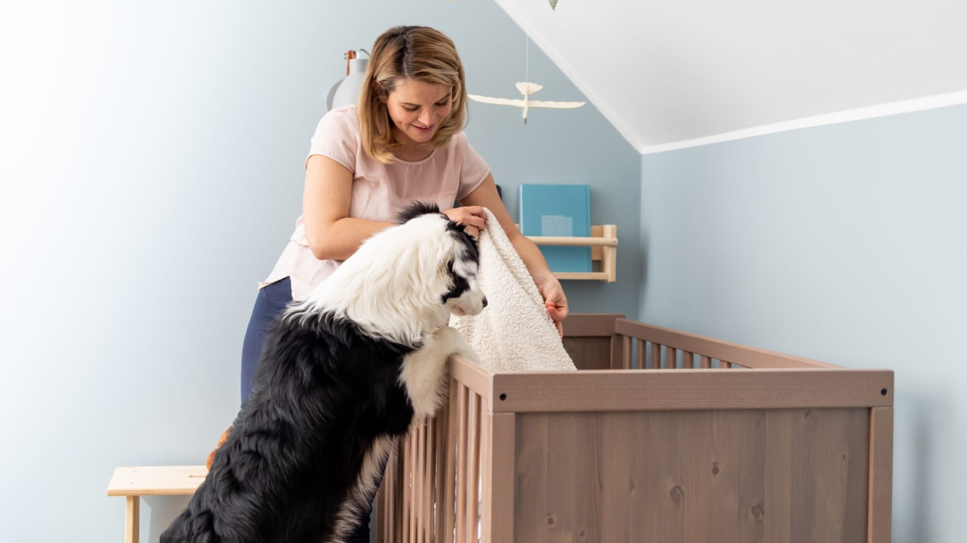 Comprehensive Guide To Dog Bunk Beds: Benefits &Types