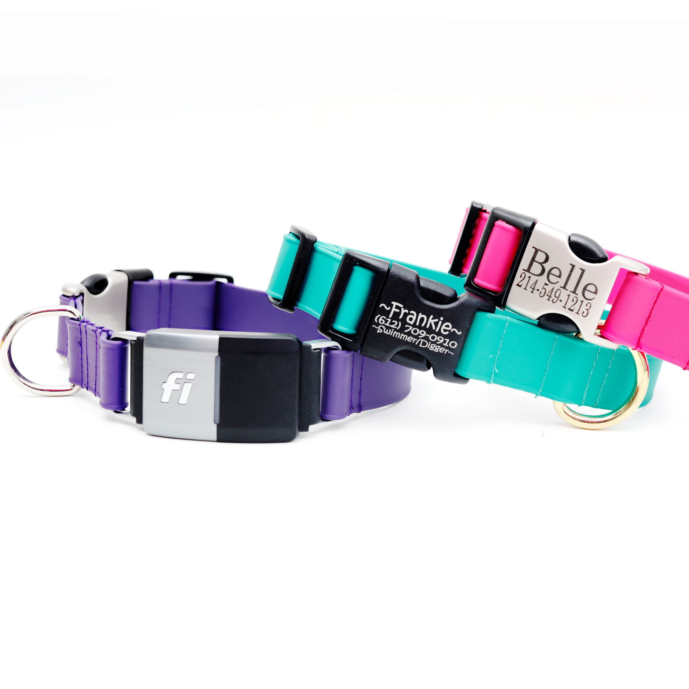 Fi Makers Collars Your Pup Needs This Summer