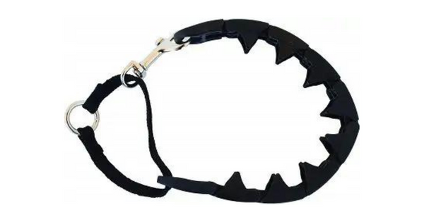 The Best Collars For Dogs That Pull: A Complete Guide