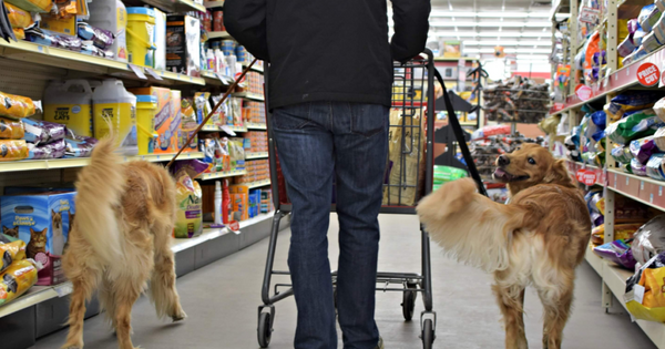 Are Dogs Allowed at Home Depot: A Guide for Pet Owners