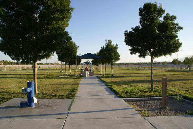 Nevada's Bark Parks: The Best Dog Parks from Vegas to Reno