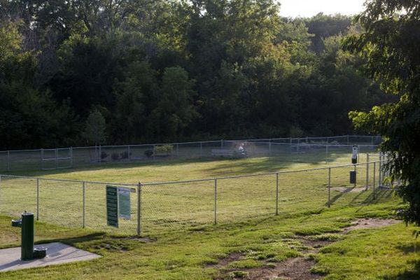 Michigan's Great Lakeside Dog Parks: The Best Spots for Paws