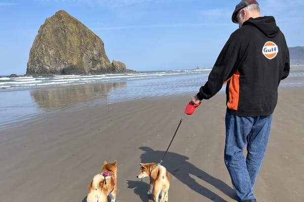 Oregon's Outdoor Dog Havens: The Best Dog Parks in the Pacific Northwest