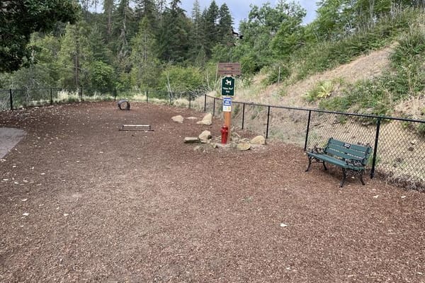 Oregon's Outdoor Dog Havens: The Best Dog Parks in the Pacific Northwest