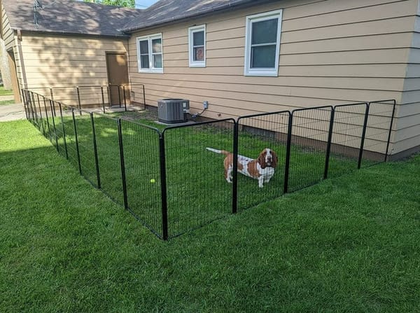 Backyard Temporary Fence for Dog: No More Digging and Worry!