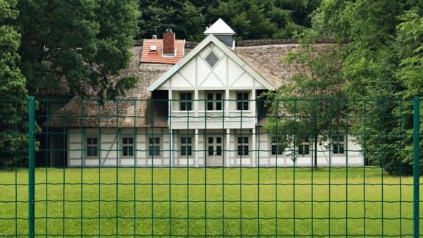 No Dig Dog Fences: A Comprehensive Guide for Pet Owners