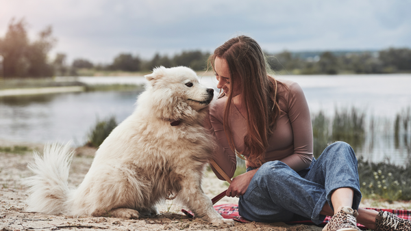 Best Dogs For Single Women: Choosing The Perfect Companion
