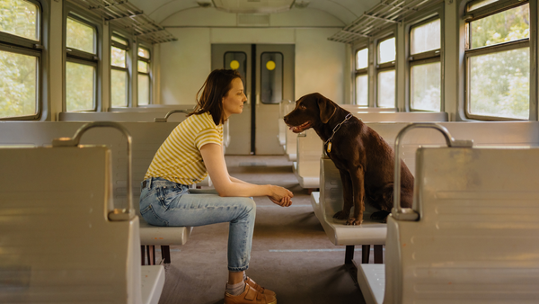 Amtrak's Rules for Dogs Over 20 Pounds: A Comprehensive Guide