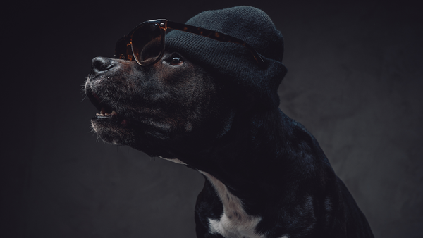 Cultural Significance: Exploring Gangster Dog Names