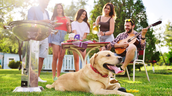 How to Host a Dog-Friendly Barbecue or Outdoor Party!