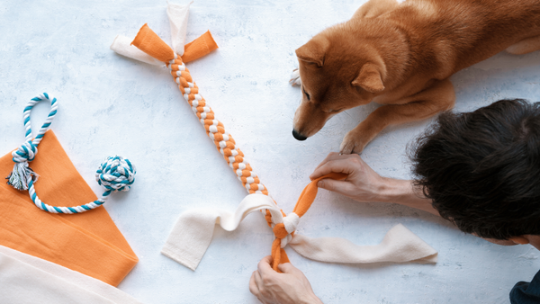 Making DIY Dog Toys with Your Kids: Dog Moms Crafts!